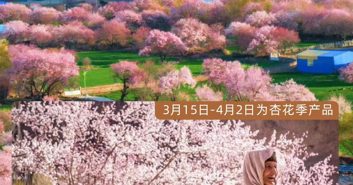 ซินเจียงไปทางตอนใต้ของซินเจียงเมื่อวันที่ 8 () - Klook ประเทศไทย